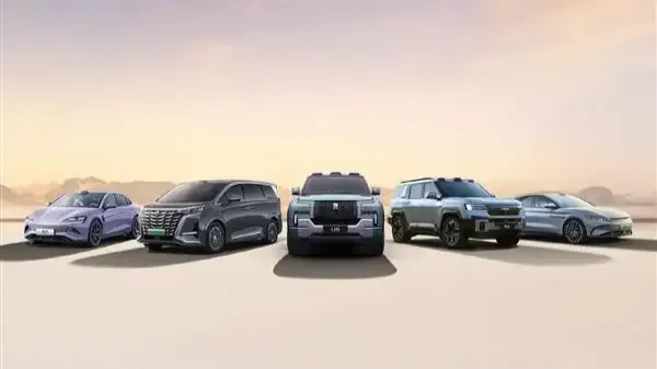 BYD achieves record export volume of 66,336 units in January despite EU ...